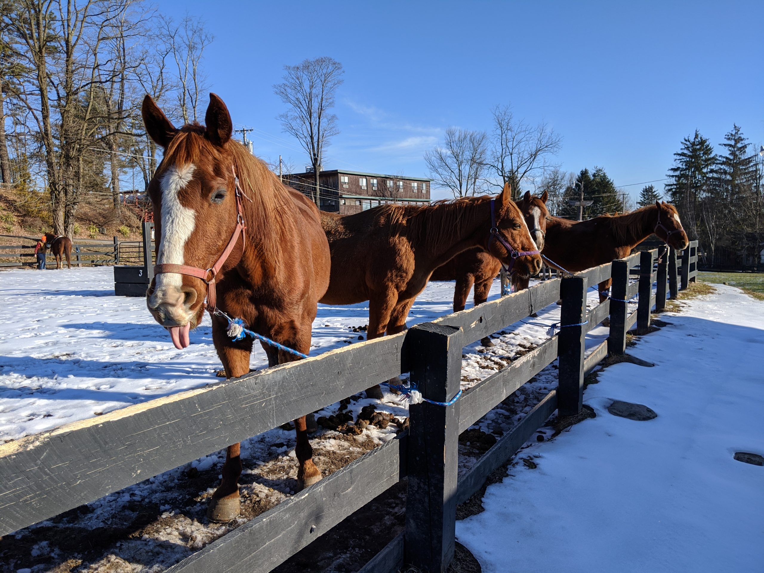Pine Ridge Dude Ranch – Brian Without Borders