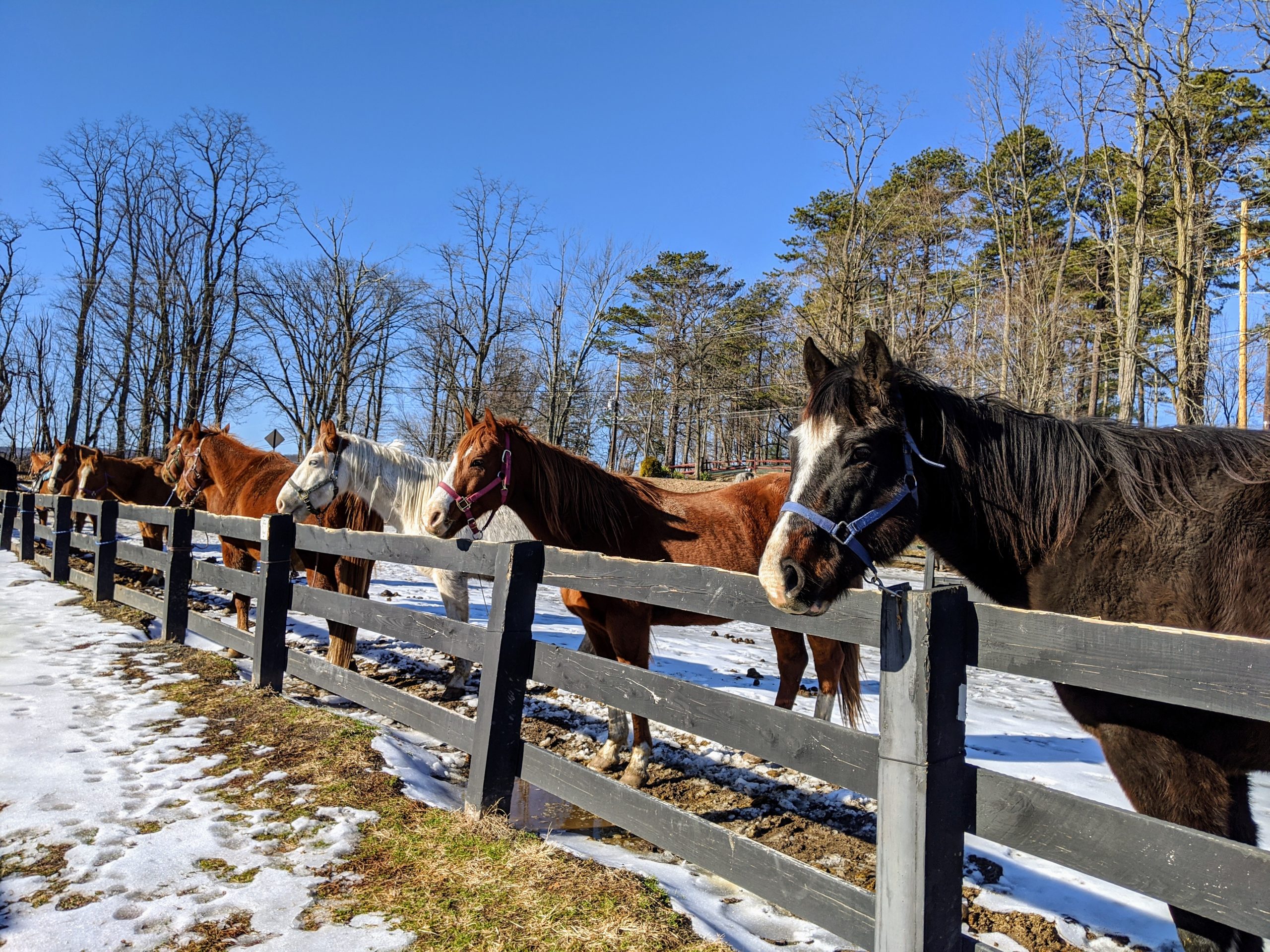 Pine Ridge Dude Ranch – Brian Without Borders